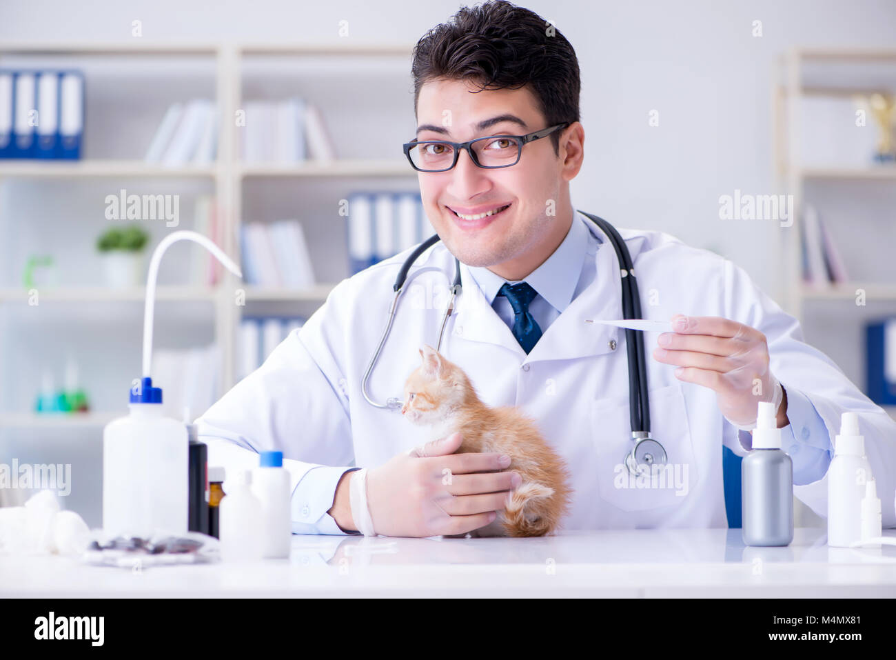 Cat visiting vet for regular check up Stock Photo - Alamy