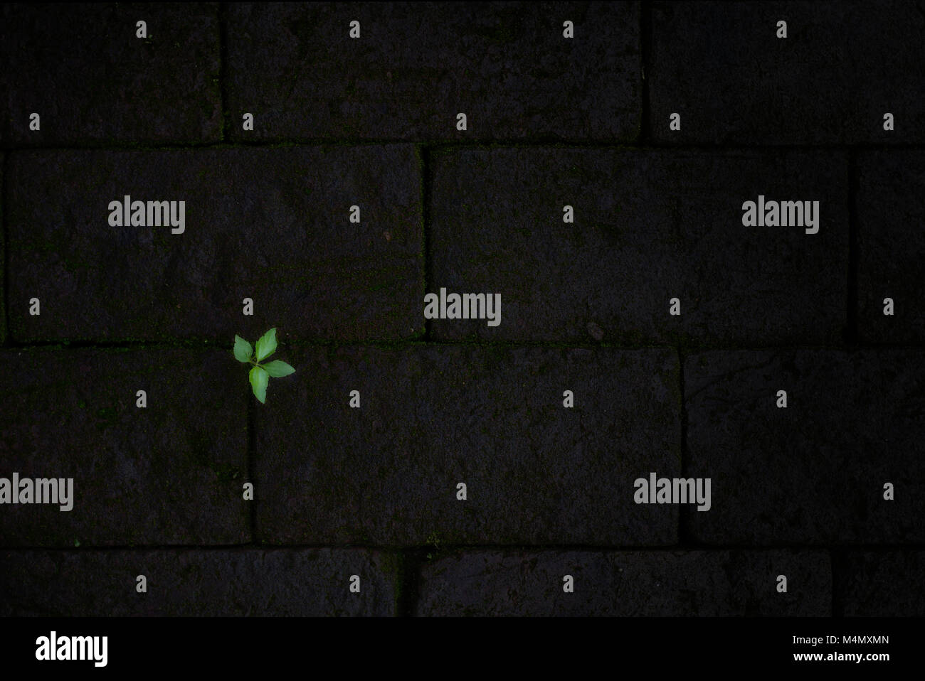 Vintage bricks hi-res stock photography and images - Alamy