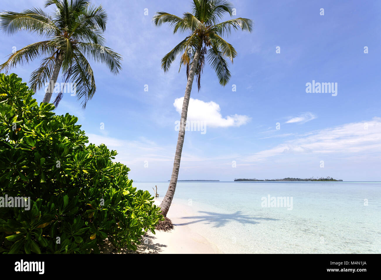 Beautiful tropical sandy beach with turquoise blue water Stock Photo ...