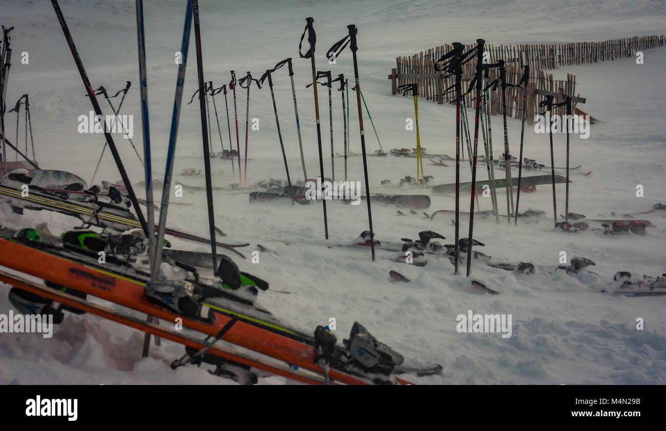 field of skis and ski poles in snow storm Stock Photo - Alamy