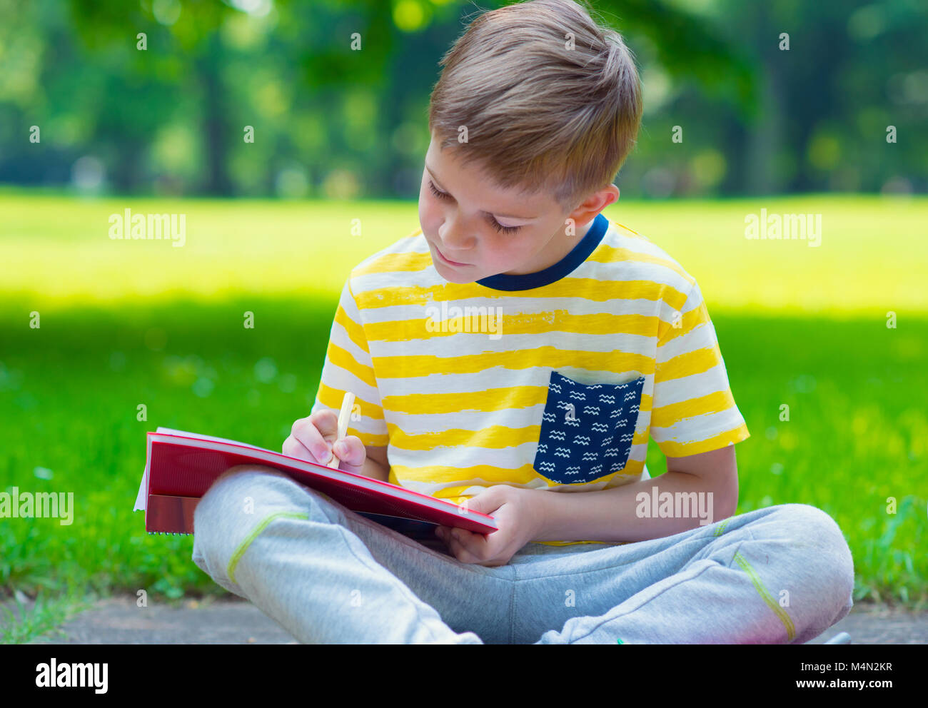 Portrait of one cute boy, he draws in park Stock Photo - Alamy