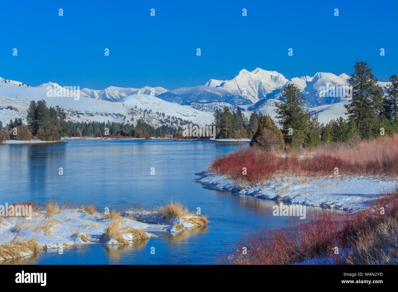 flathead river below the mission mountains in winter near dixon ...