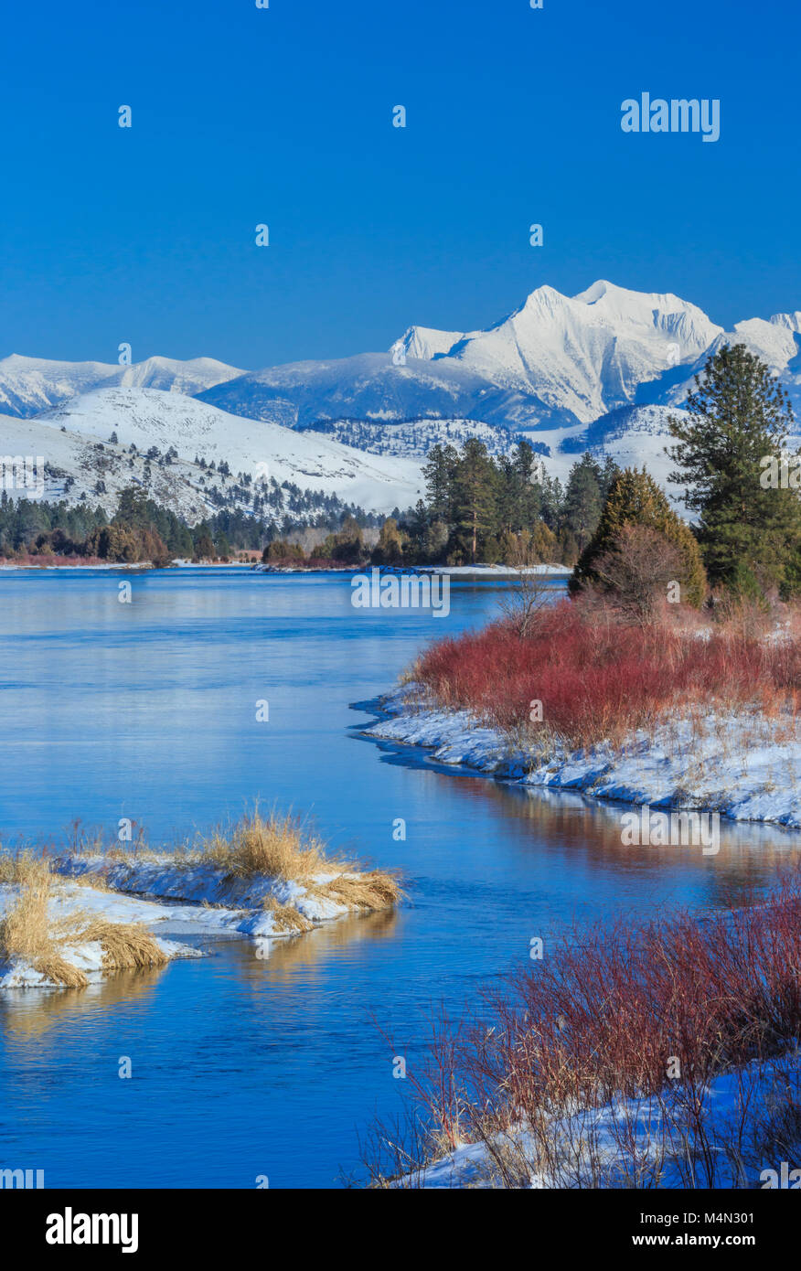 flathead river below the mission mountains in winter near dixon ...