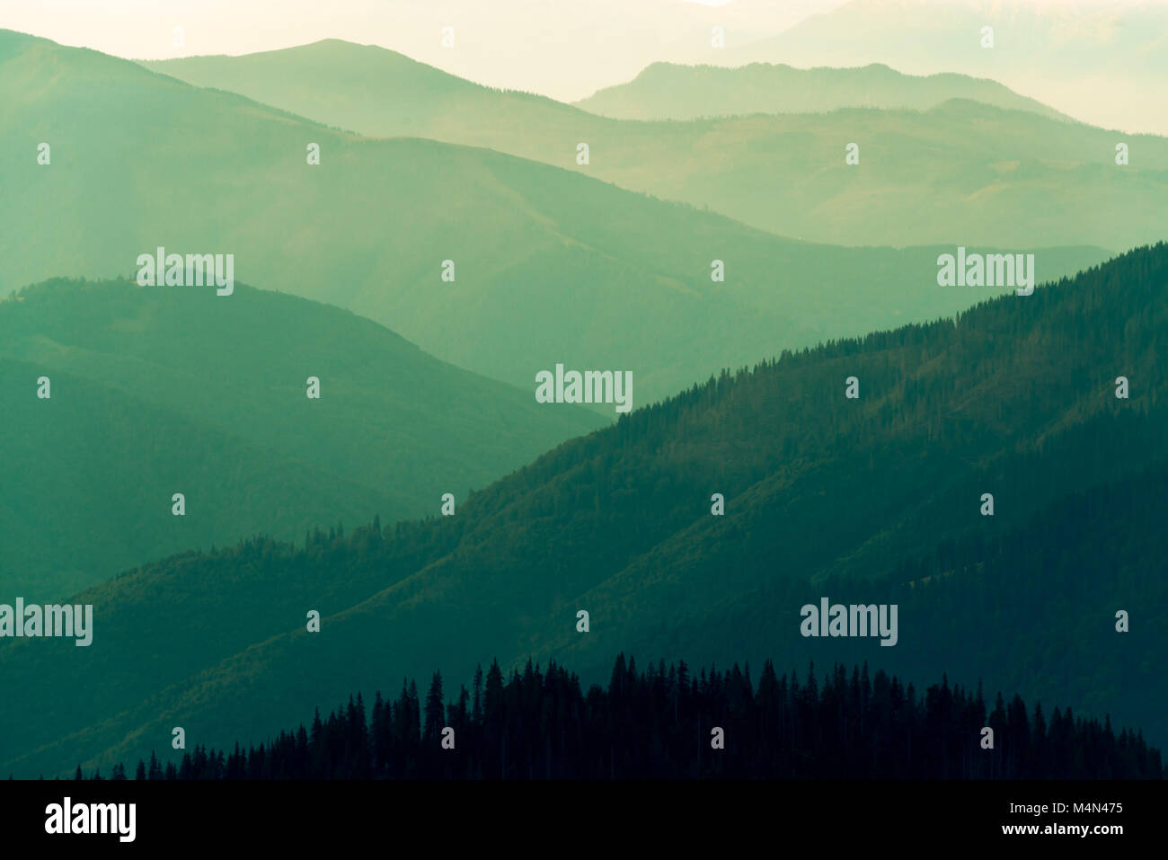 Picturesque summer landscape with colorful sunrise Stock Photo - Alamy Picturesque summer landscape with colorful sunrise Stock Photo - Alamy