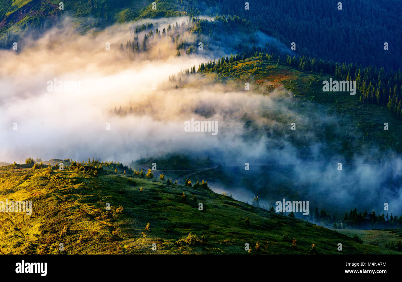 Picturesque summer landscape in sunny day Stock Photo - Alamy