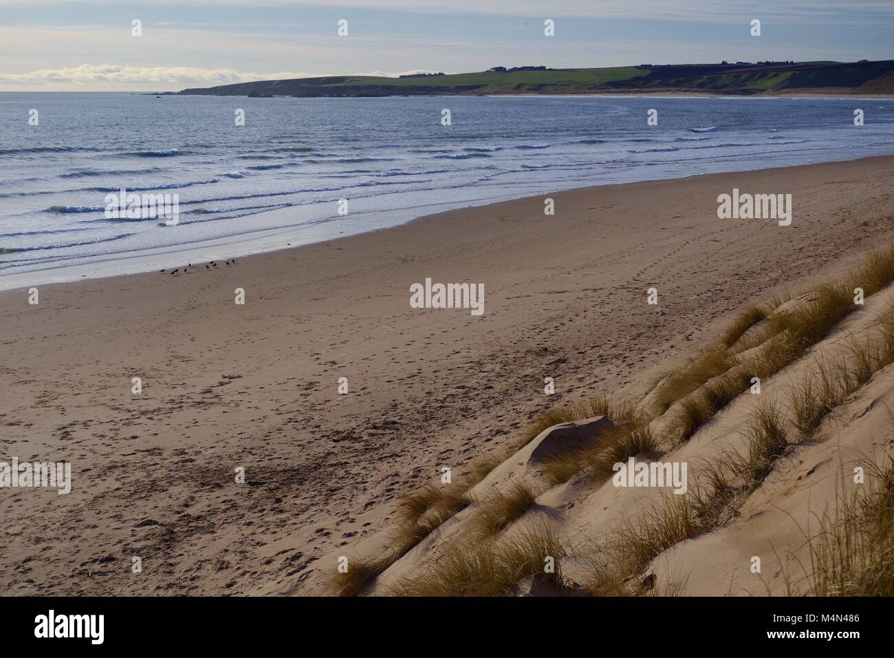 Remote Unspoilt Natural Beauty of a Sand Duned Scottish Beach in Winter ...