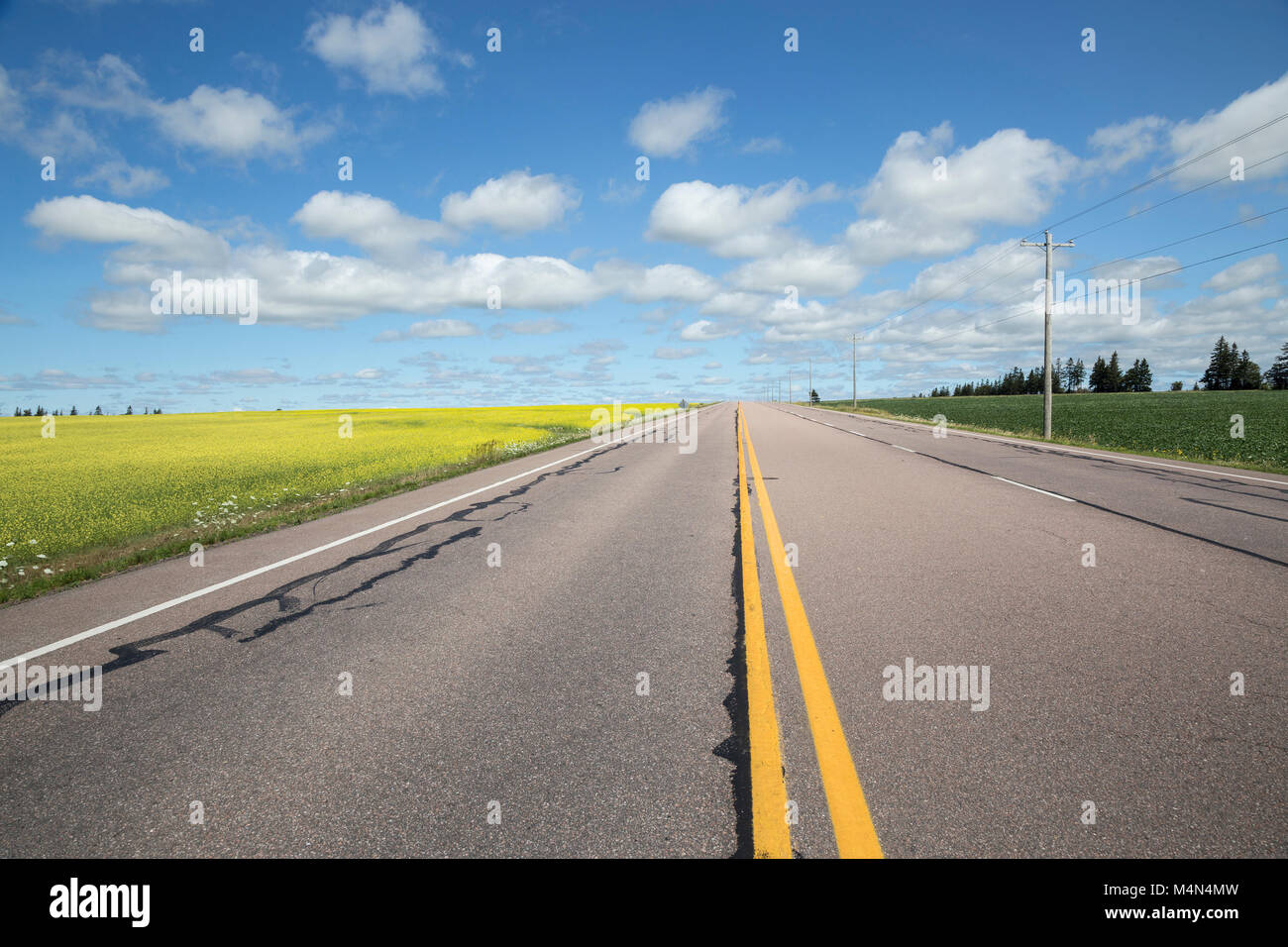 Highway road perspective hi-res stock photography and images - Alamy