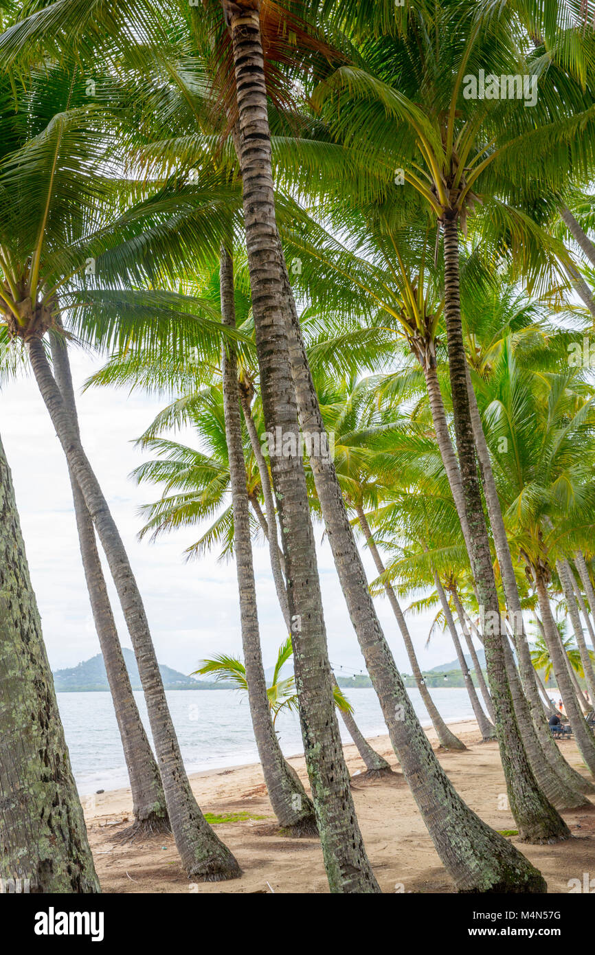 Queensland scenery hi-res stock photography and images - Alamy