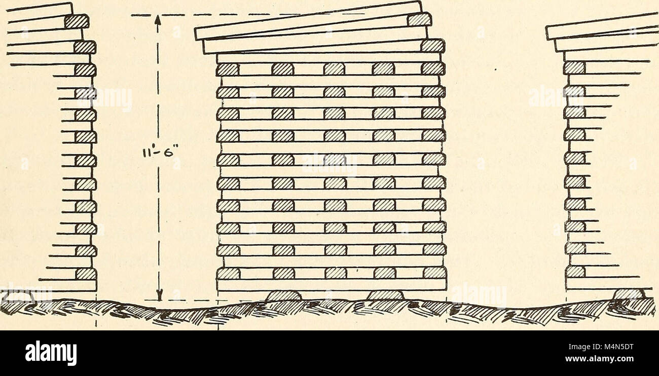 "The decay of timber and methods of preventing it" (1902 Stock Photo ...