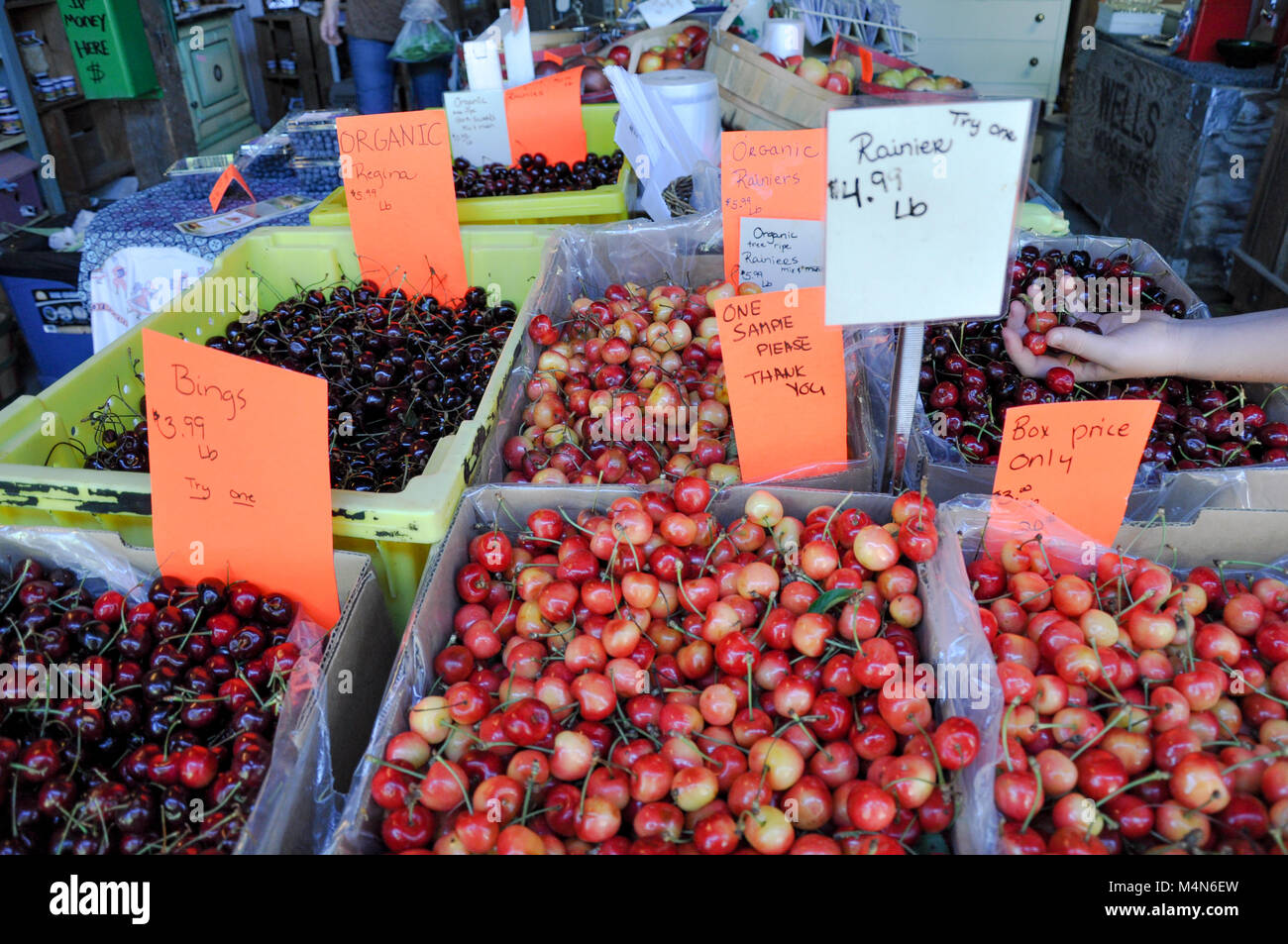 Cherry orchard usa hi-res stock photography and images - Alamy