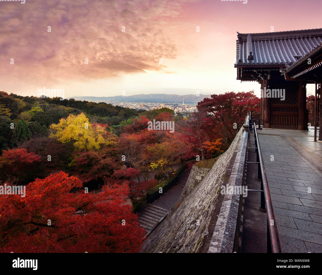 Maximimages hi-res stock photography and images - Alamy