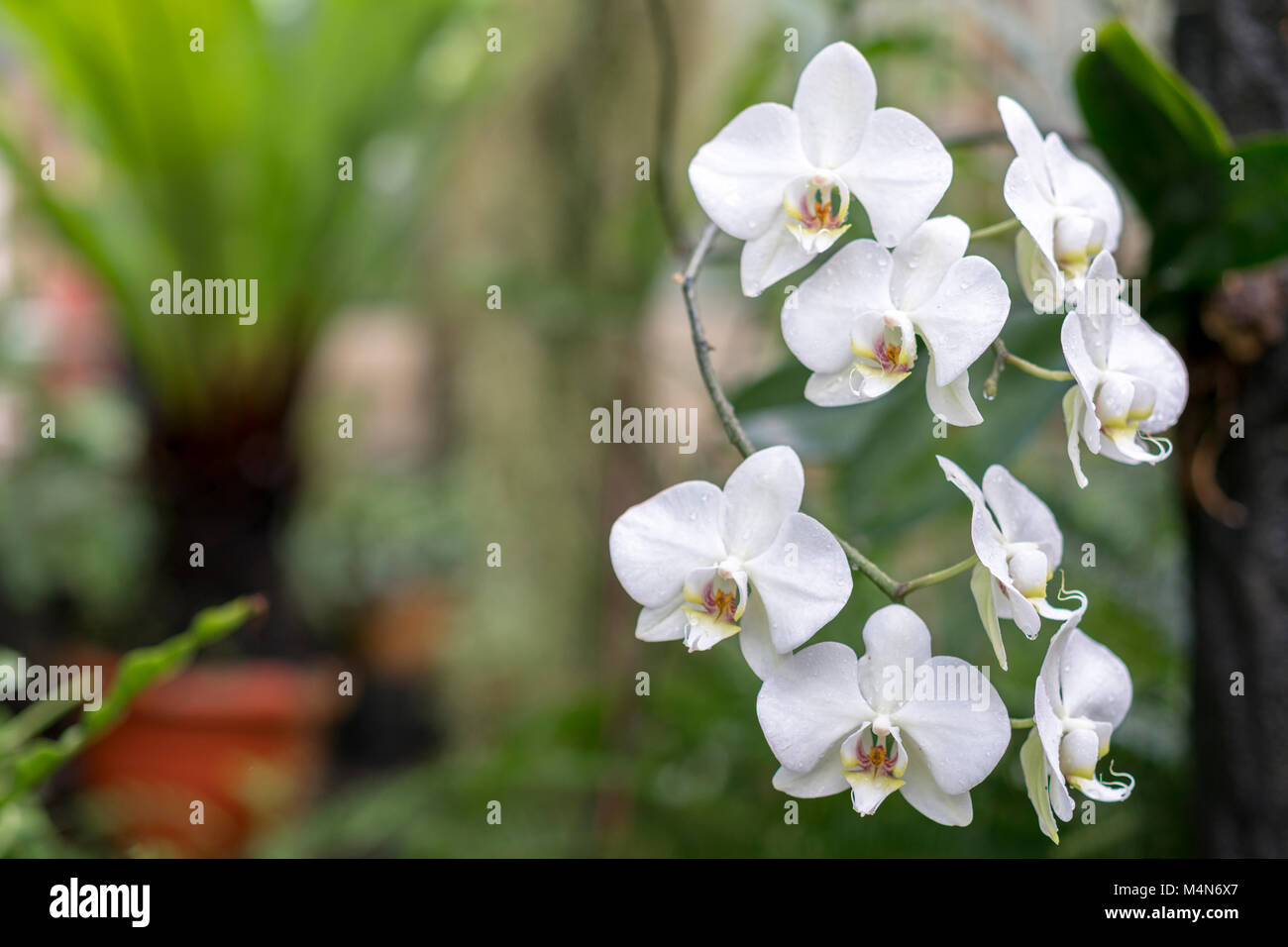 Vacro hi-res stock photography and images - Alamy