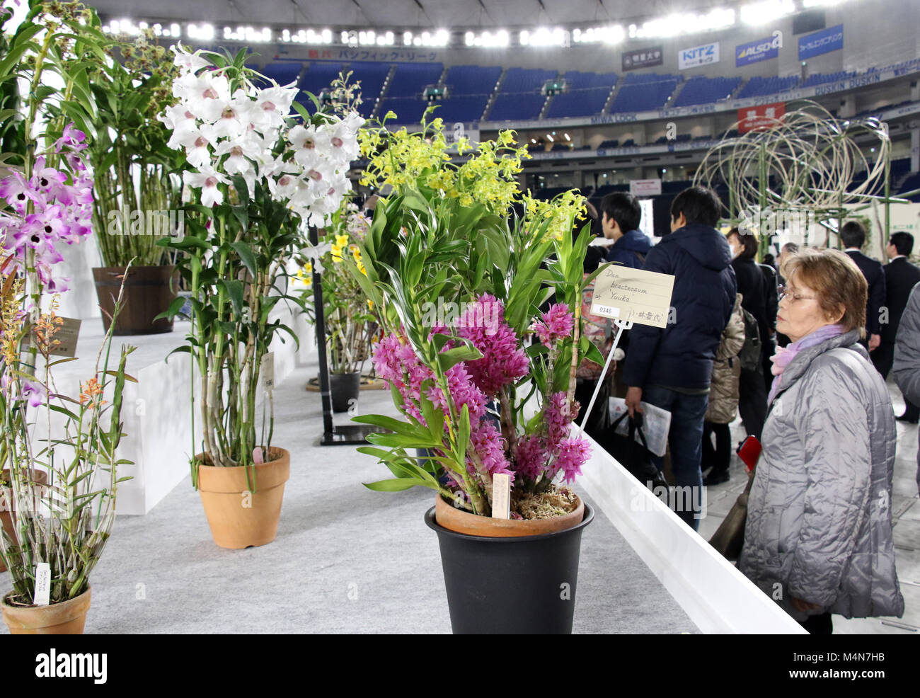 Japan international orchid festival tokyo hi-res stock photography and ...