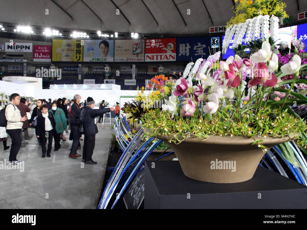 Tokyo, Japan. 15th Feb, 2018. People admire potted flowers of orchid at ...