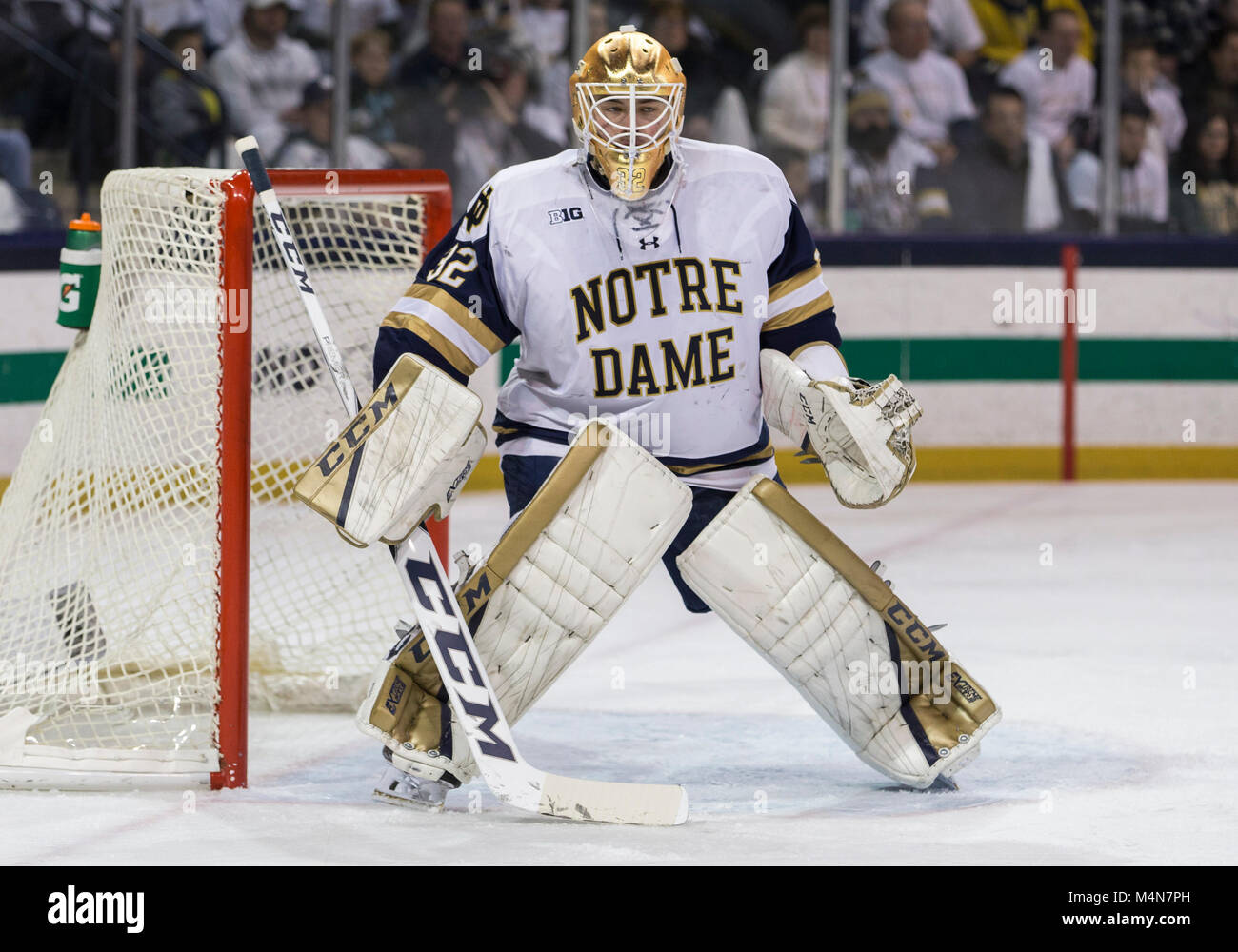 Cale morris notre dame hi-res stock photography and images - Alamy