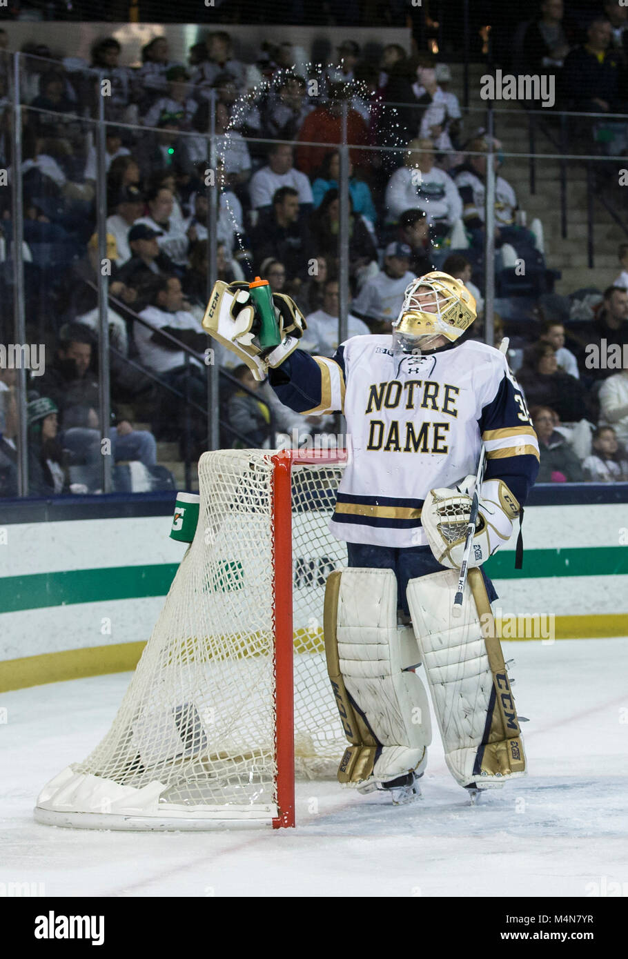 South Bend, Indiana, USA. 16th Feb, 2018. Notre Dame goaltender Cale ...