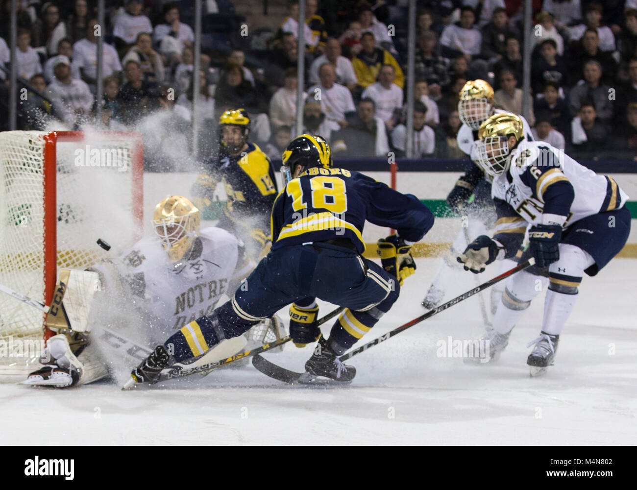 South Bend, Indiana, USA. 16th Feb, 2018. Notre Dame goaltender Cale ...
