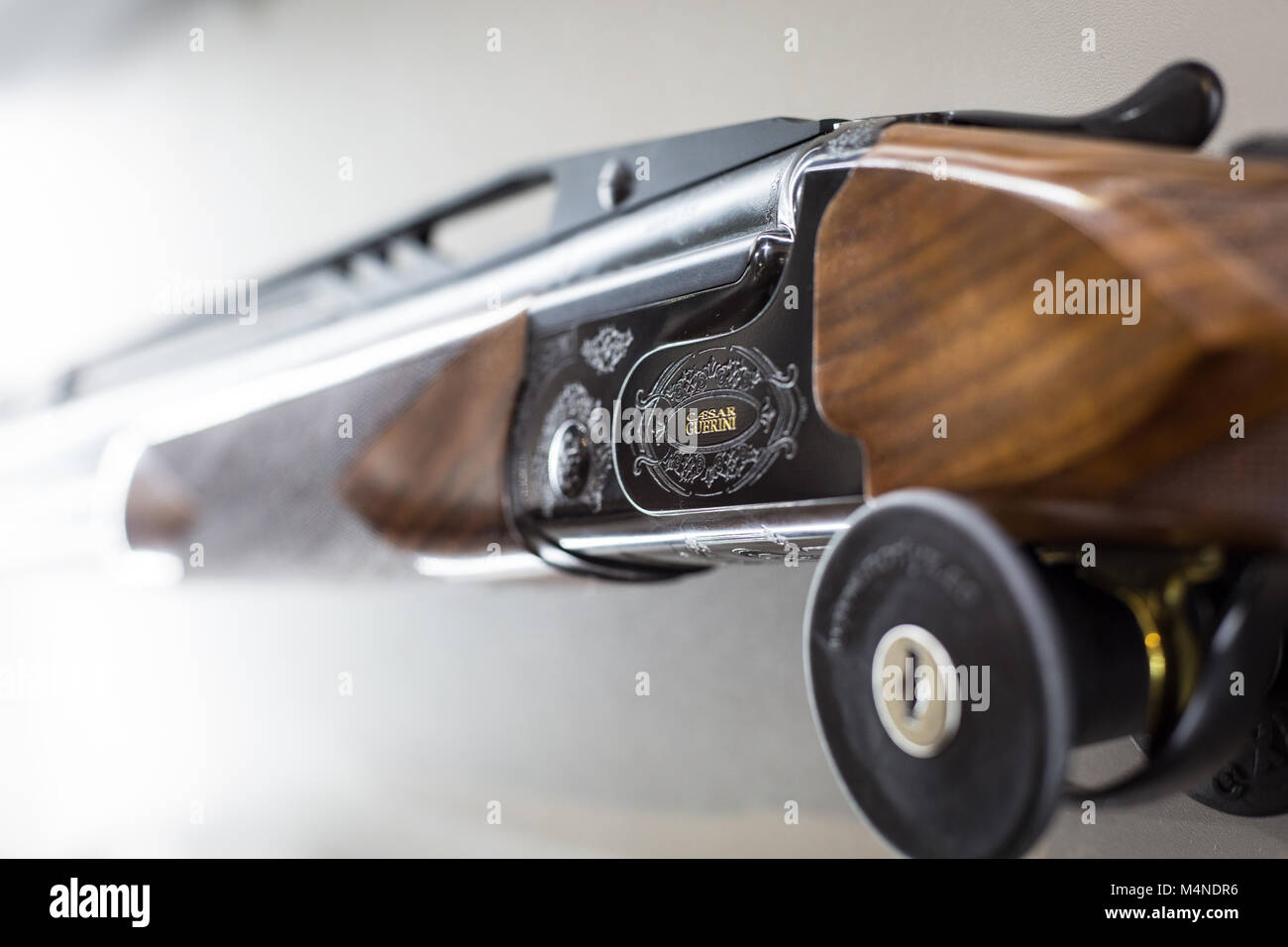British shooting show nec hi-res stock photography and images - Alamy