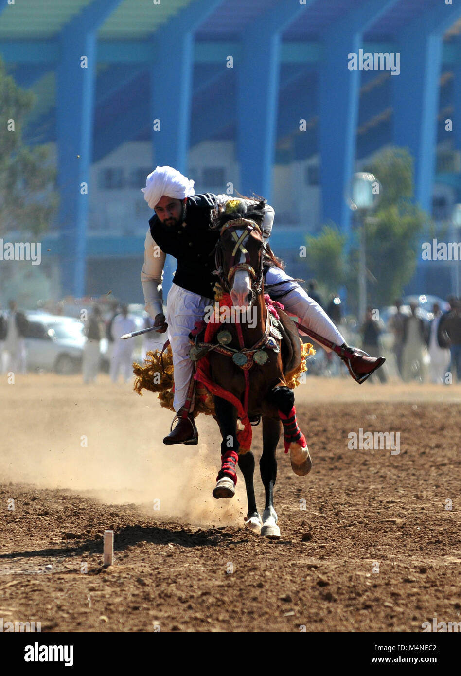 Pakistani horse hi-res stock photography and images - Alamy