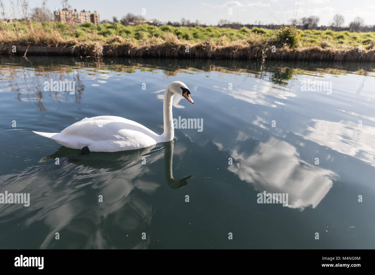 West reservoir hackney hi-res stock photography and images - Alamy