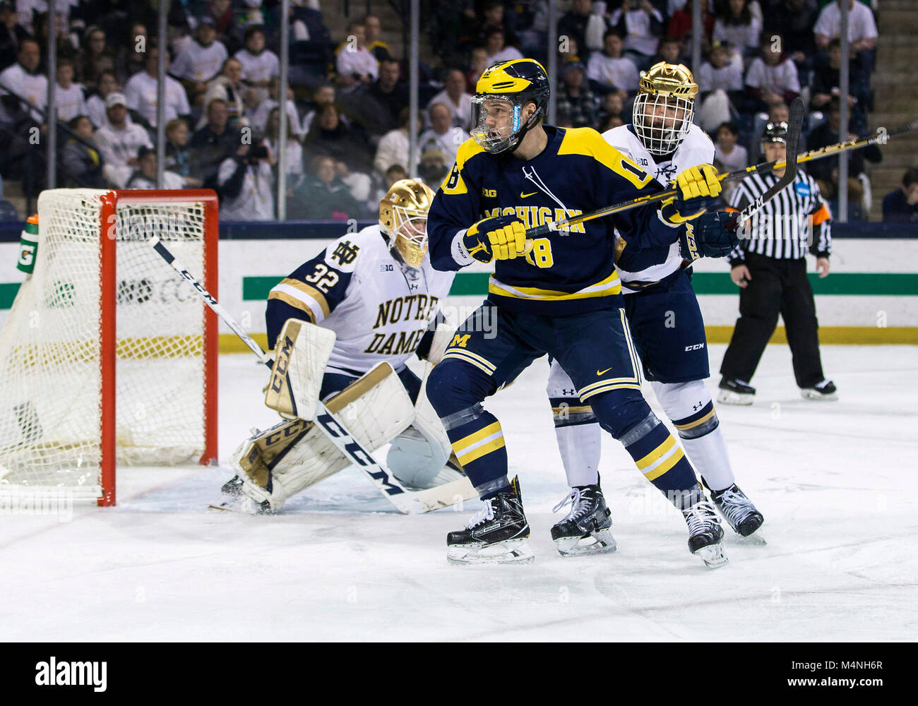 February 16, 2018: Michigan forward Adam Winborg (18) and Notre Dame ...