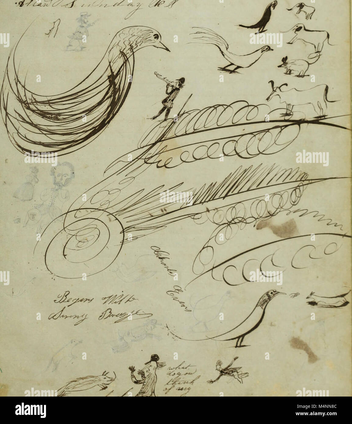 Benjamin Tucker (Ship), of New Bedford, Mass., mastered by Daniel B ...