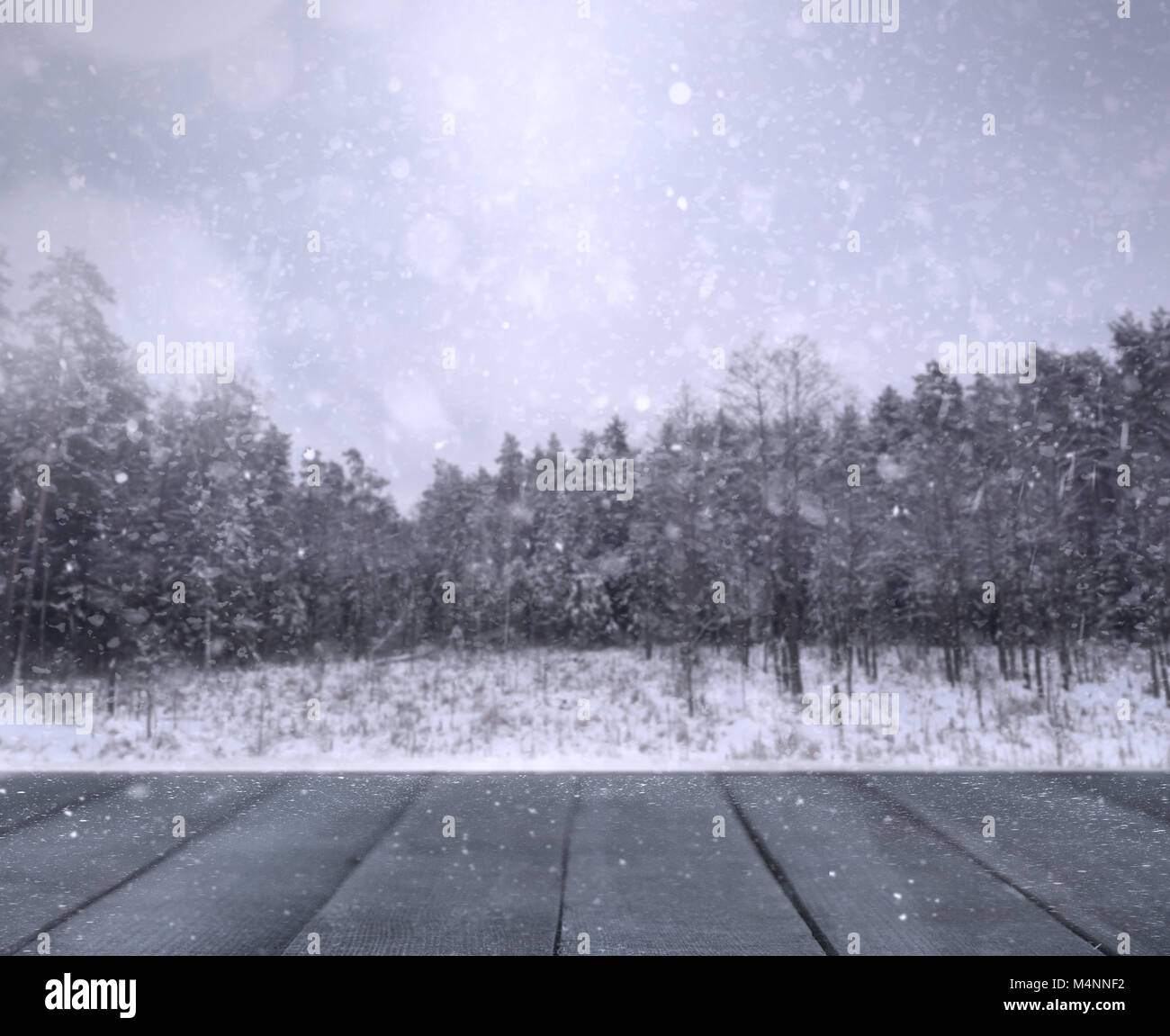 Winter blur background Stock Photo - Alamy