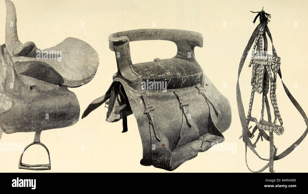 Bergens Museums aarbog (1910) (19744542203 Stock Photo - Alamy