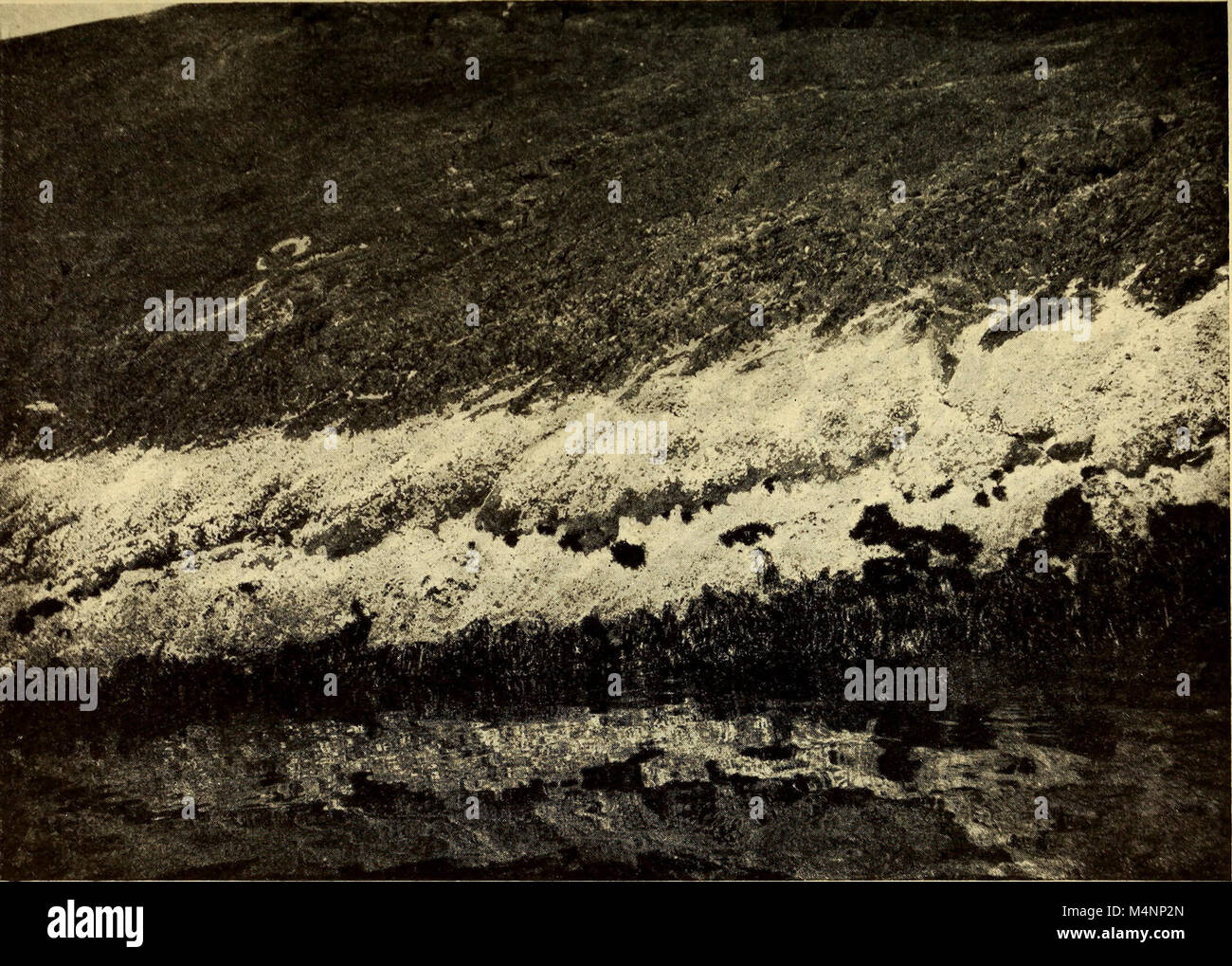 This 1920 publication from Bergen Museum presents a compilation of ...