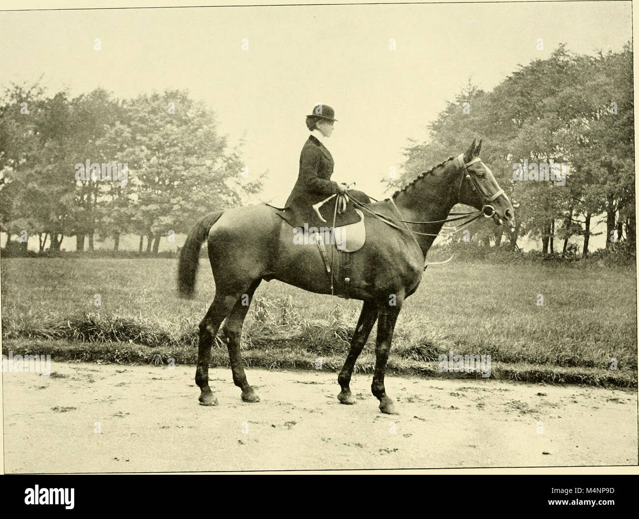 The Annals of the Billesdon Hunt (1856-1913) recount the notable ...