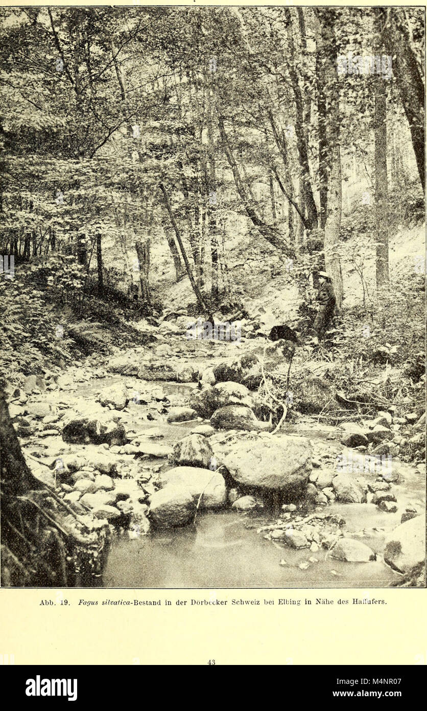 This 1911 report from the West Prussian Botanical-Zoological Society ...