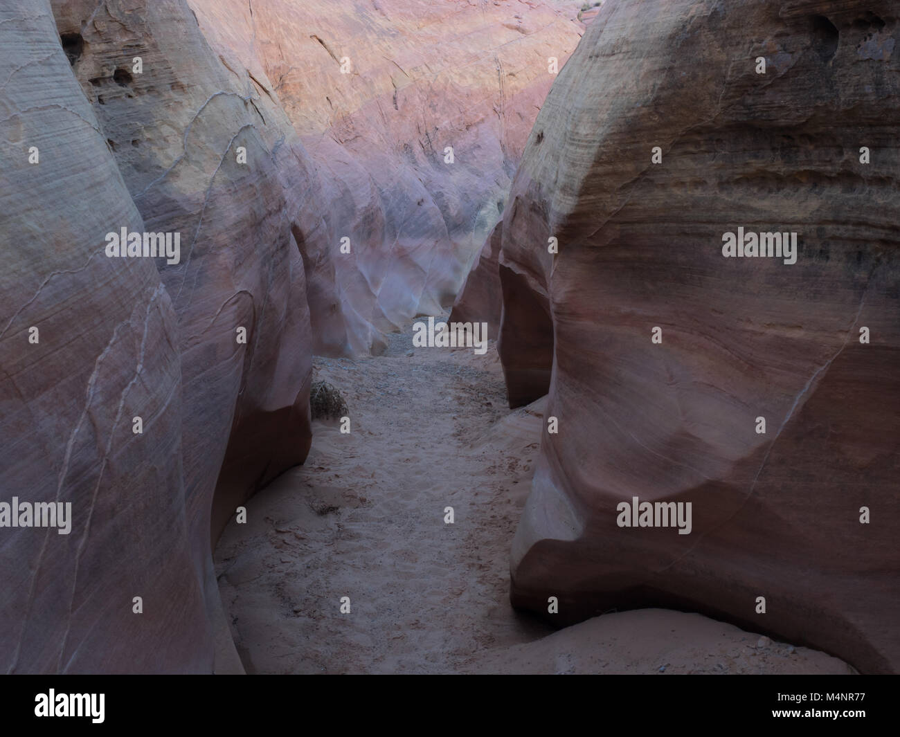 Valley of fire state park pink canyon hi-res stock photography and ...