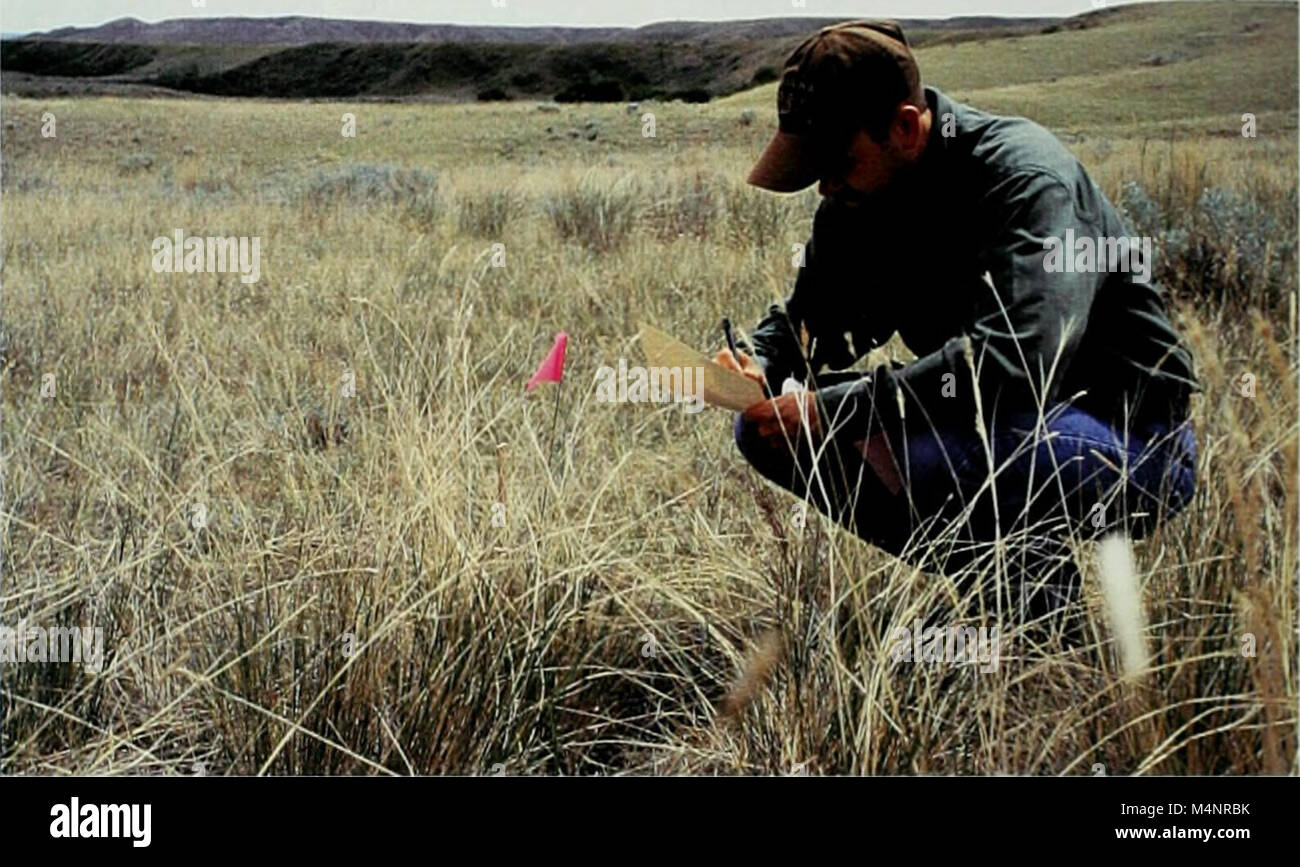 A guide outlining best practices for sustainable grazing management in ...