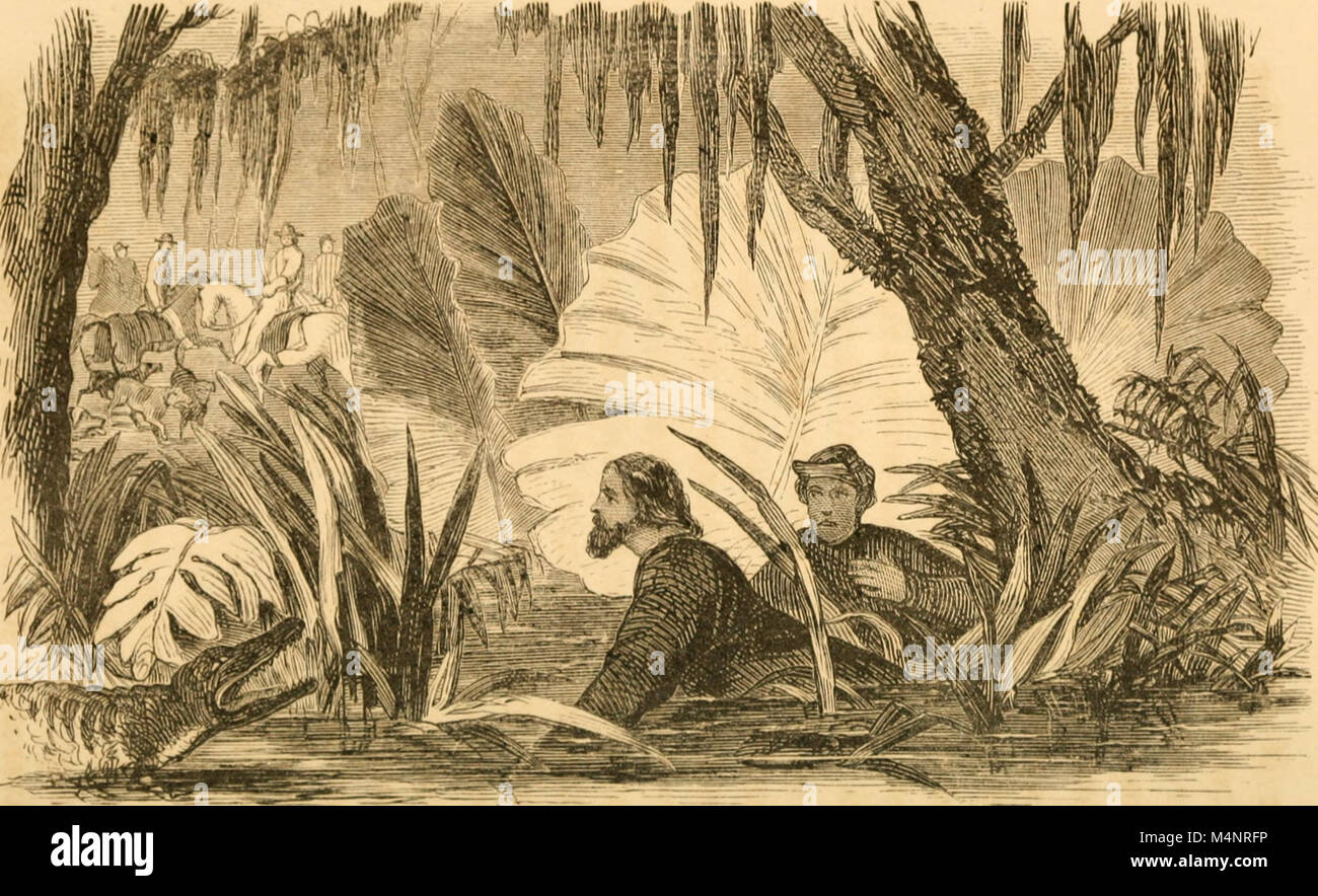 Beyond the lines, or, A Yankee prisoner loose in Dixie (1863 ...