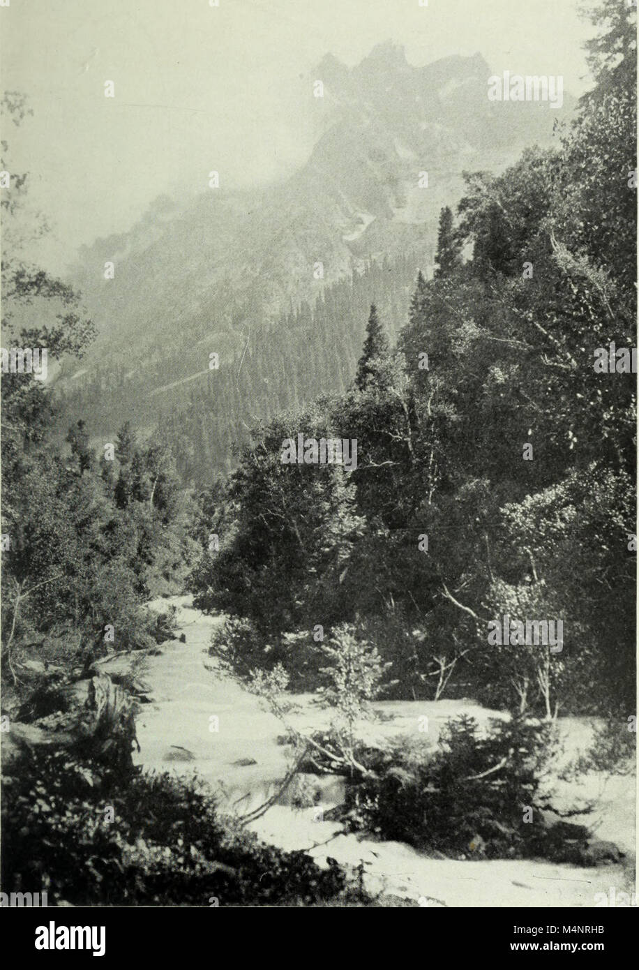 This 1912 book provides a detailed account of life in the Kashmir ...