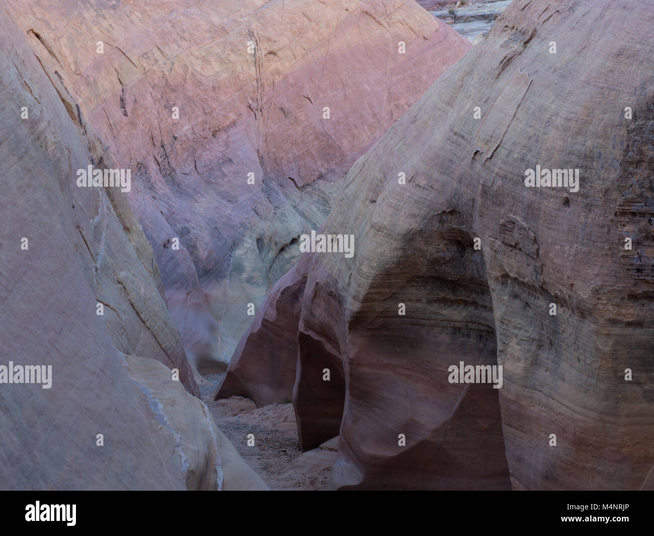 Valley of fire state park pink canyon hi-res stock photography and ...