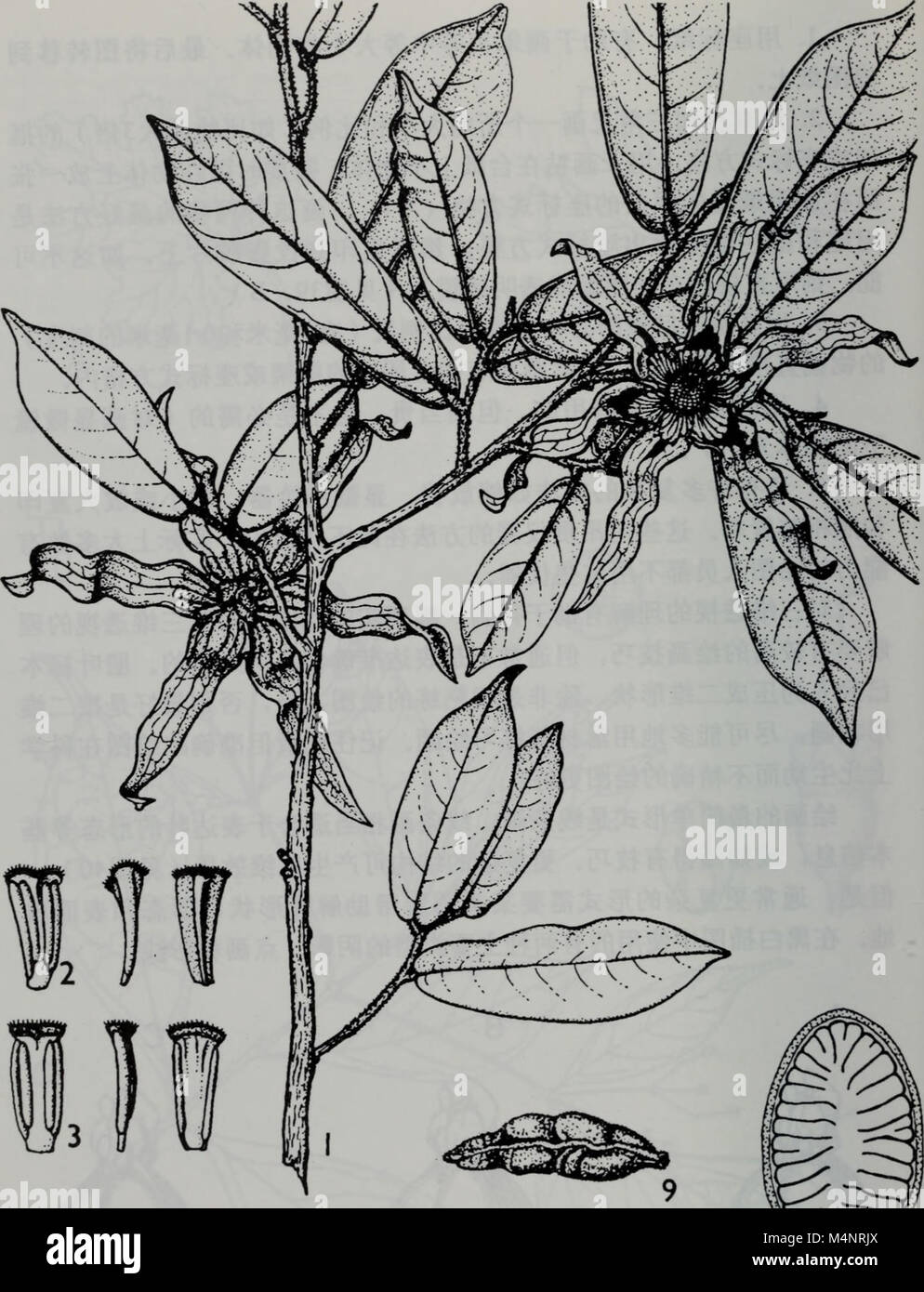 'Biao ben guan shou ce' (1998) is a reference guide on the management ...