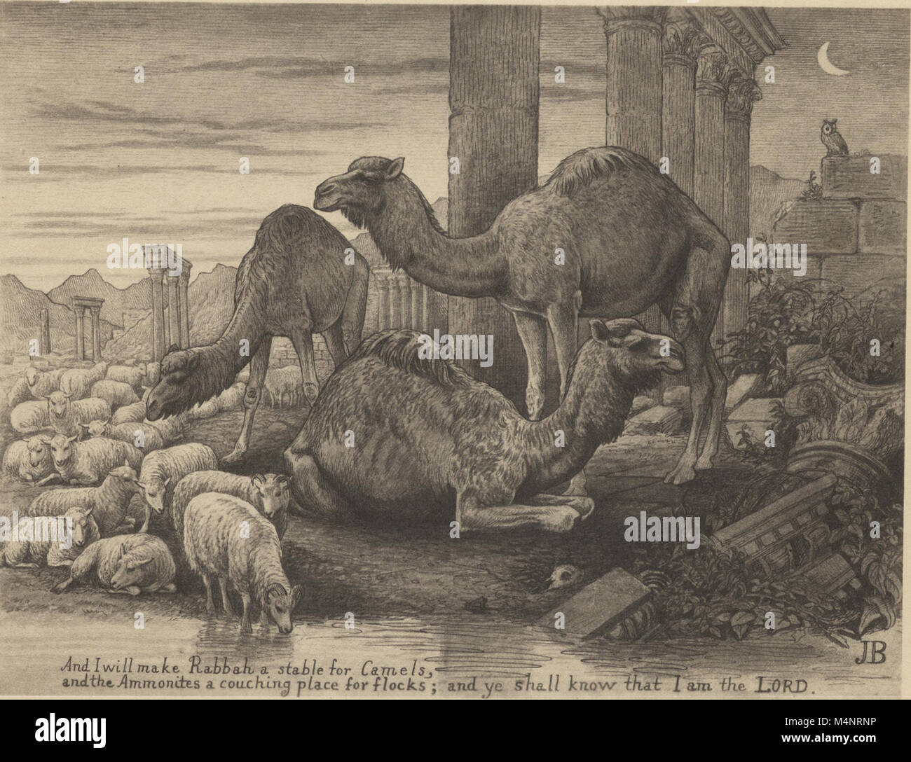 This 1886 edition of *Bible Beasts and Birds* features illustrations by ...