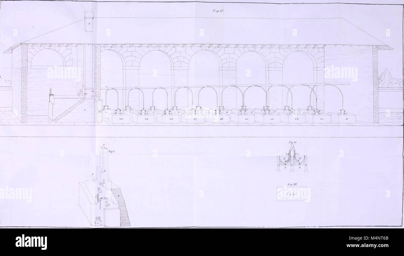 The *Biblioteca Italiana*, established in 1817, is an important Italian ...