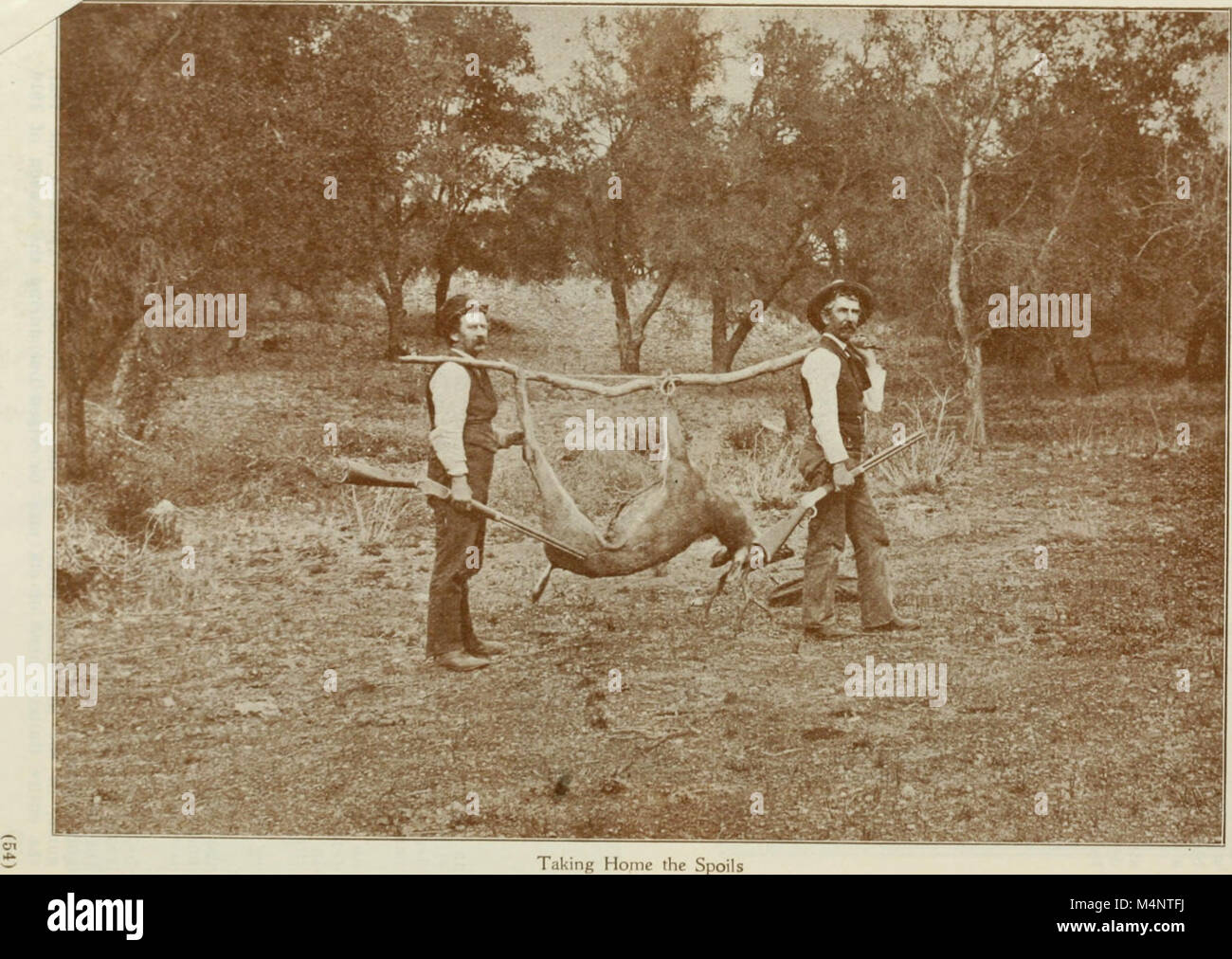 This 1917 biennial report by the Montana Game and Fish Commission ...