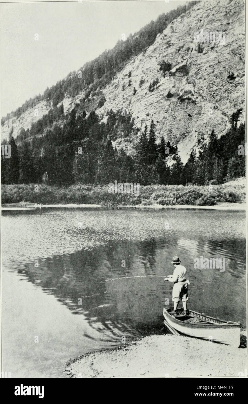 The 'Biennial Report of the Montana Game and Fish Commission' (1925 ...