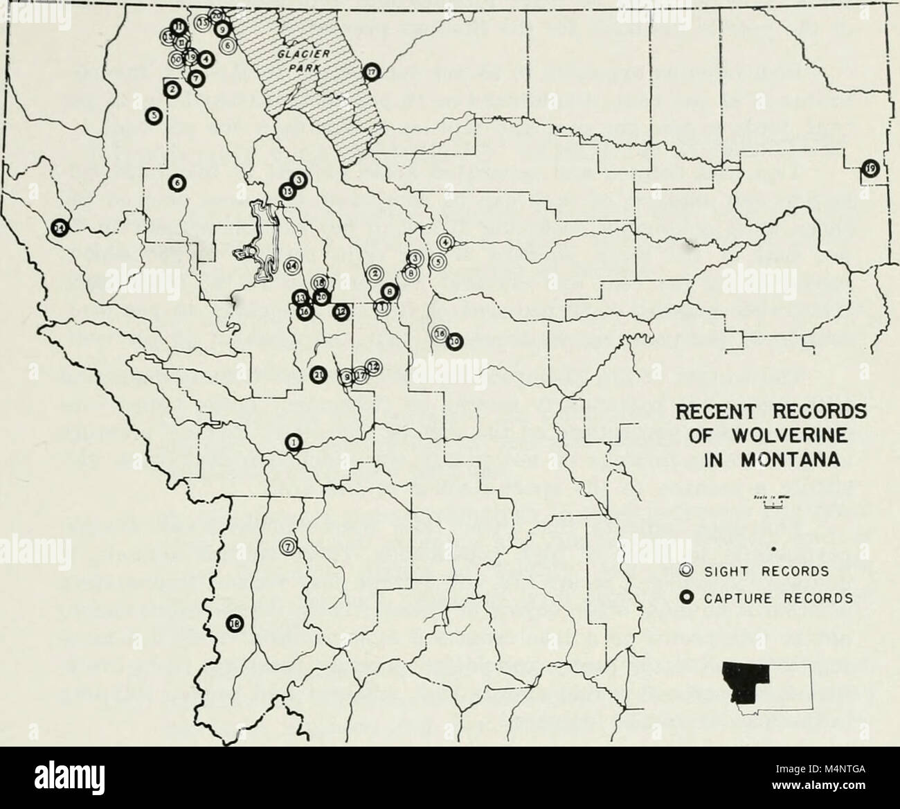 The 1953 Biennial Report of the Montana Game and Fish Commission ...