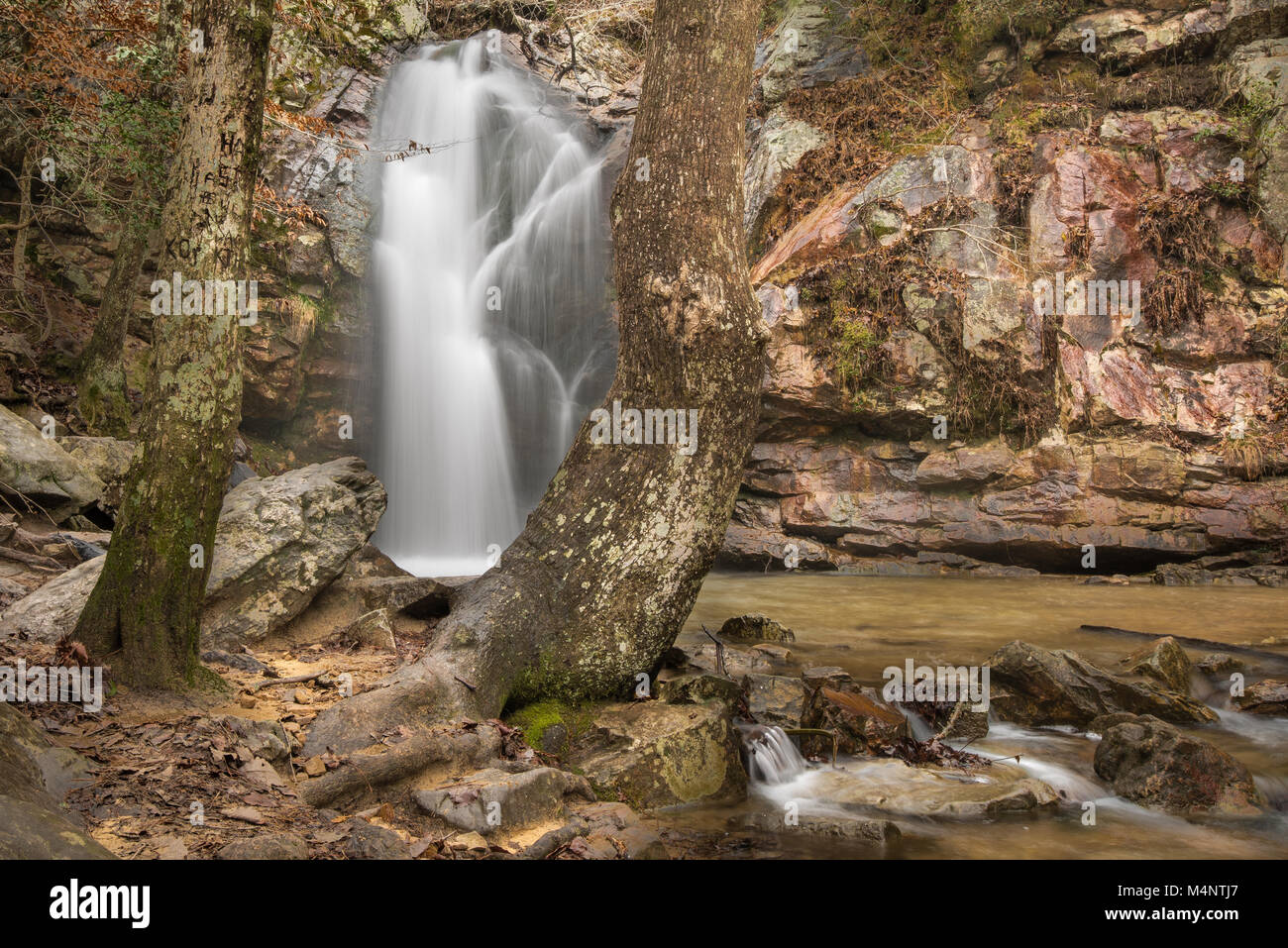 A beautiful, hard to find waterfall flows into a ravine near the top of ...