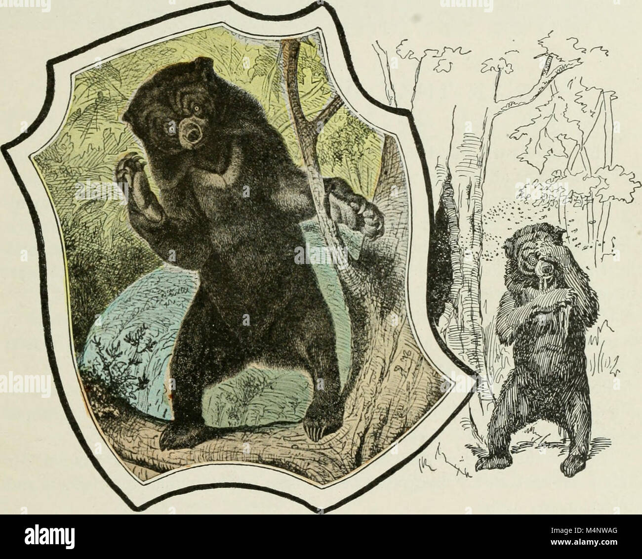 This 1910 book explores the world of big game hunting in Africa and ...