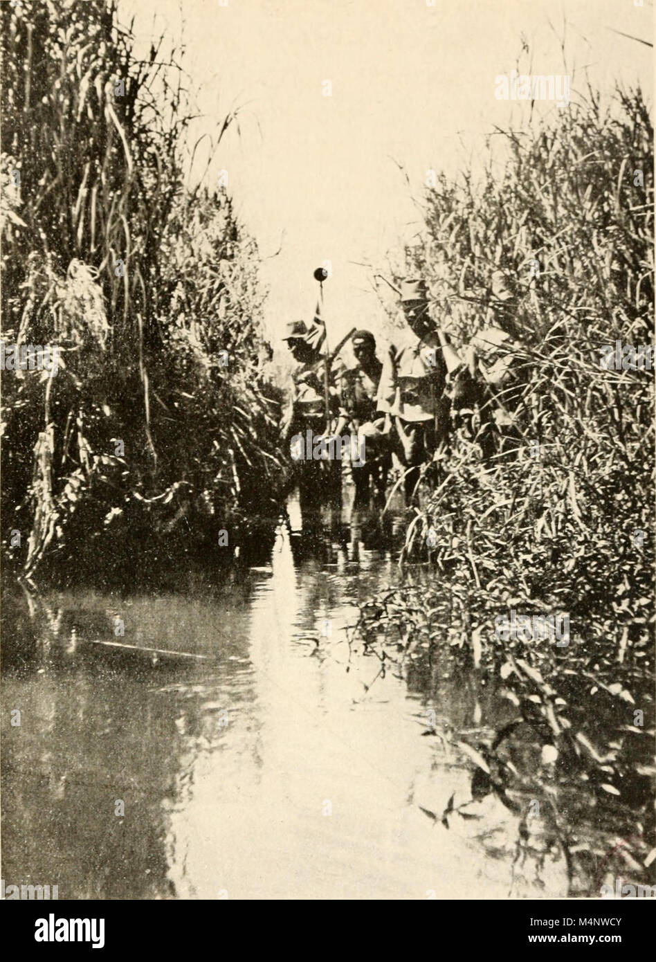 The 1908 work 'Big Game Shooting on the Equator' focuses on hunting ...