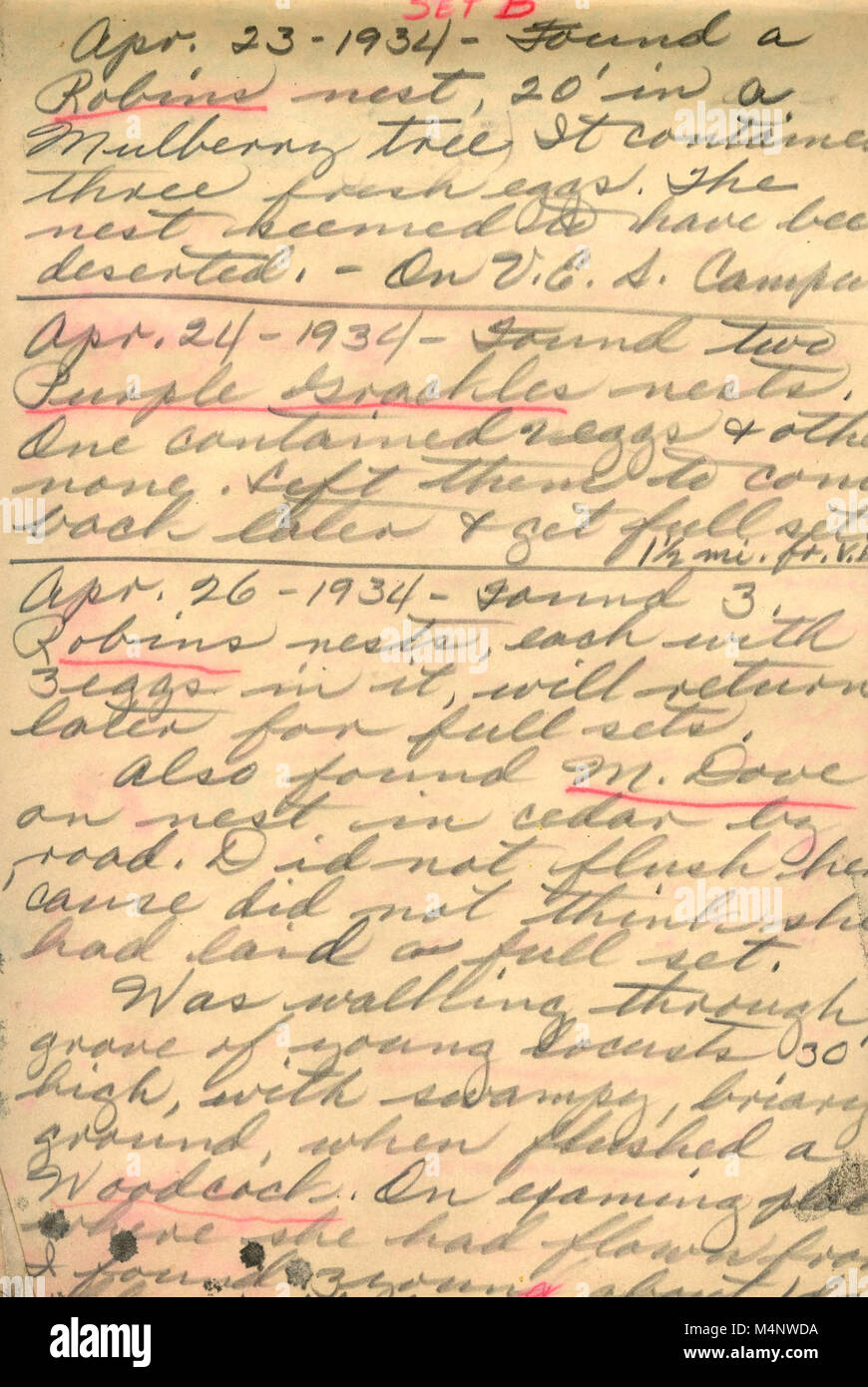 'Big Stone Gap Observations' (1932-1934) provides notes on the nesting ...