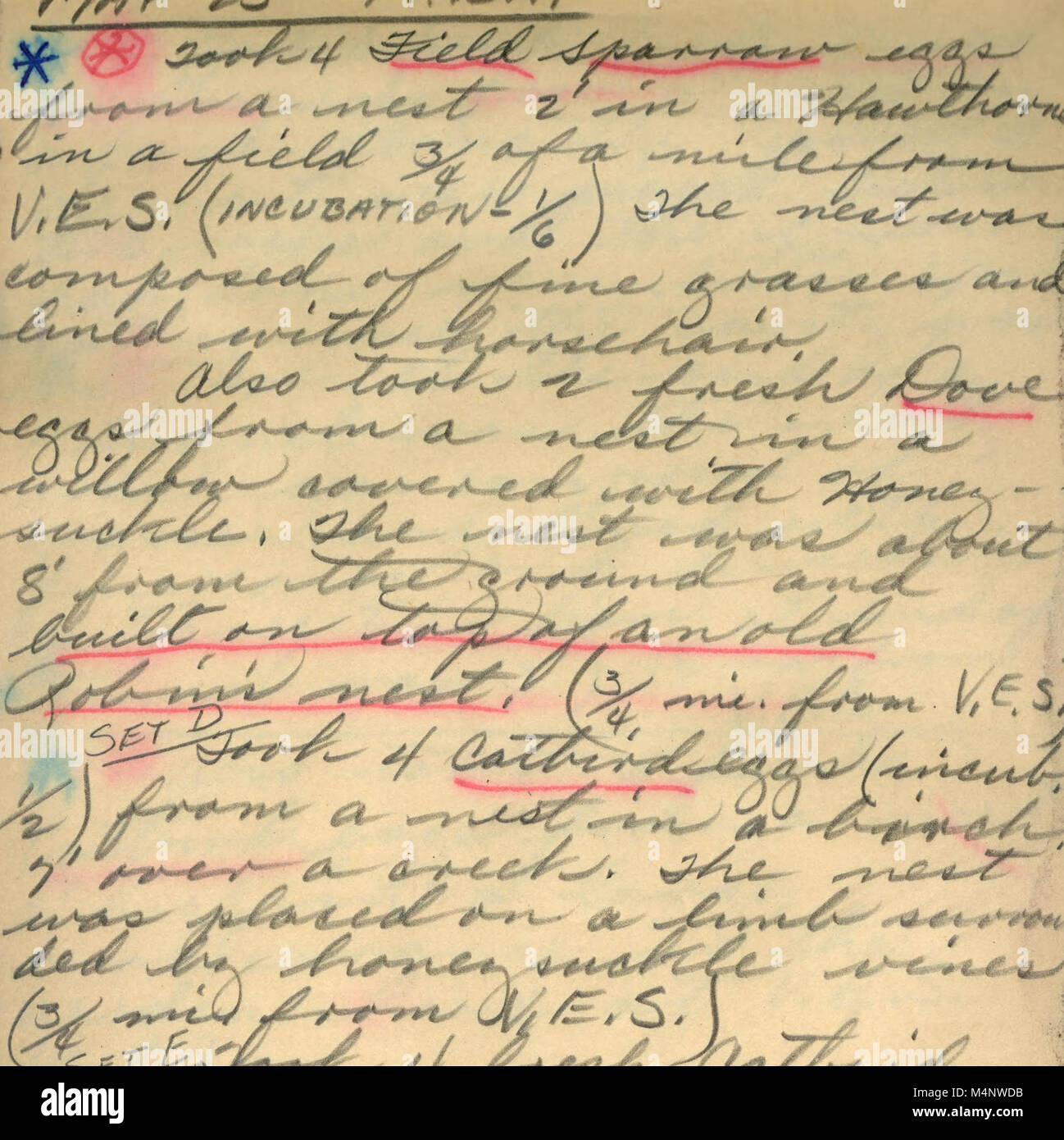 Big Stone Gap Observations, 1932-1933; Notes on the Nesting of Birds ...