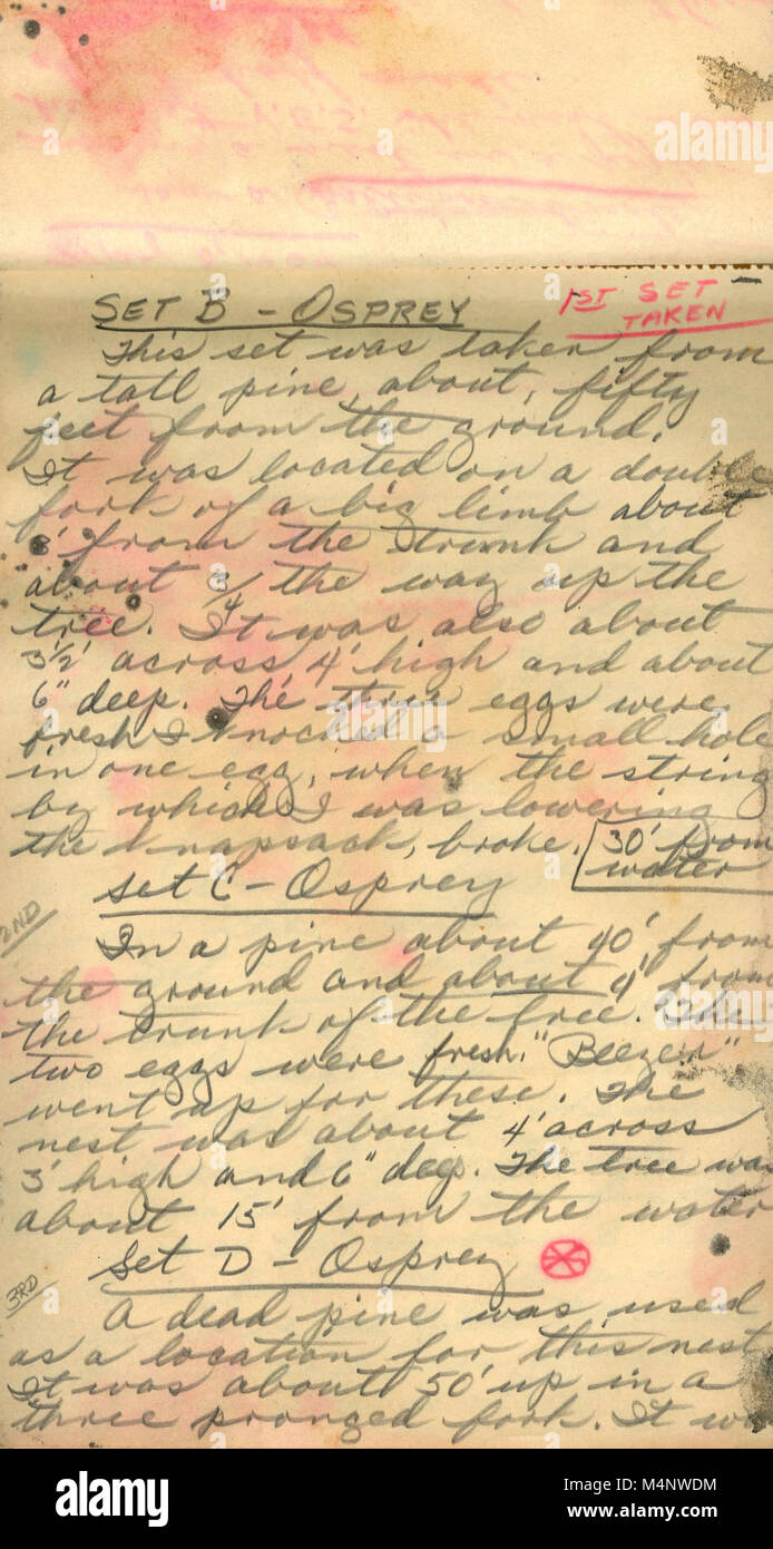 Big Stone Gap Observations, 1932-1933; Notes on the Nesting of Birds ...