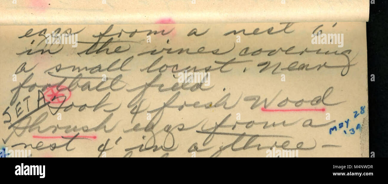This work from 1932-1934 offers detailed observations on bird nesting ...