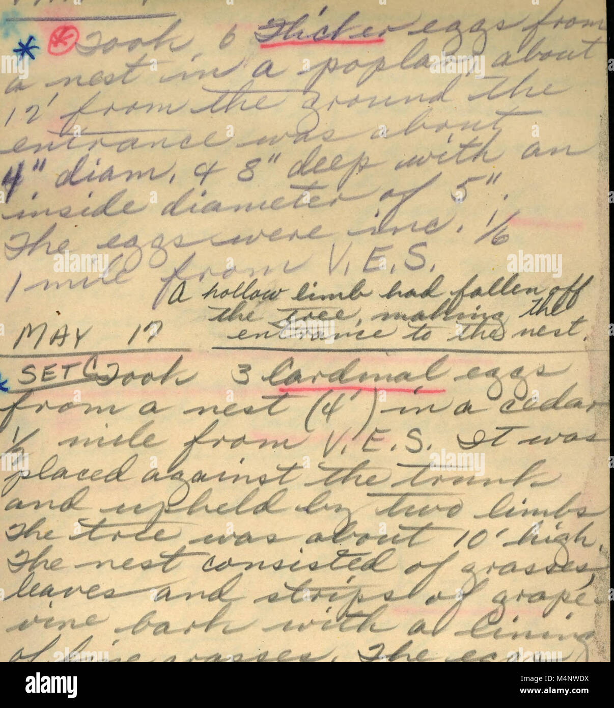 Big Stone Gap Observations, 1932-1933; Notes on the Nesting of Birds ...